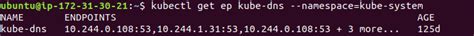Amazon Web Services Kubernetes Dns Fails To Resolve Most Of The Times