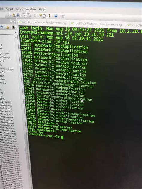 维护部署太过复杂了 · Issue 1021 · Apachelinkis · Github