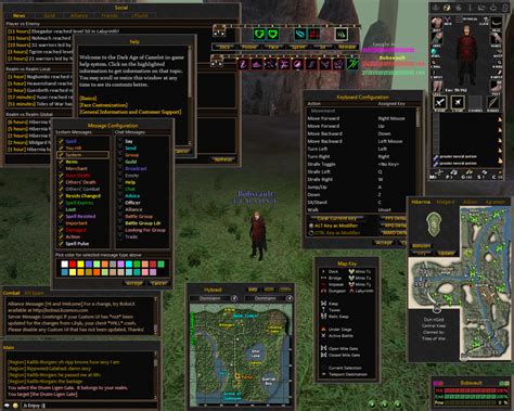 Bobsui Daoc Custom User Interface Features