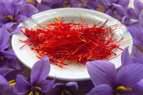 Crocus Sativus Saffron 2835249adj Florissa Flowers Roses Fruits