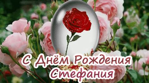 открытка с днем рождения Стефания - Gif Открытки в подарок