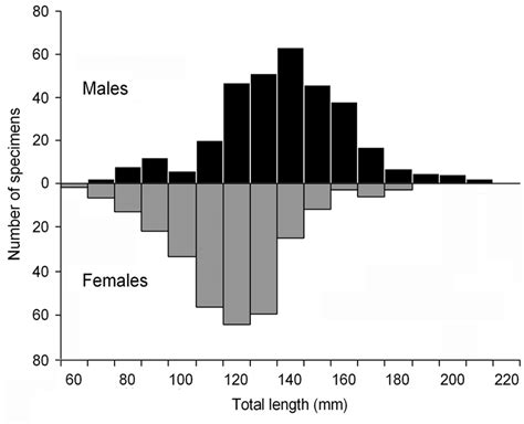 Coris Julis Length Structures Of Males And Females Sampled Between