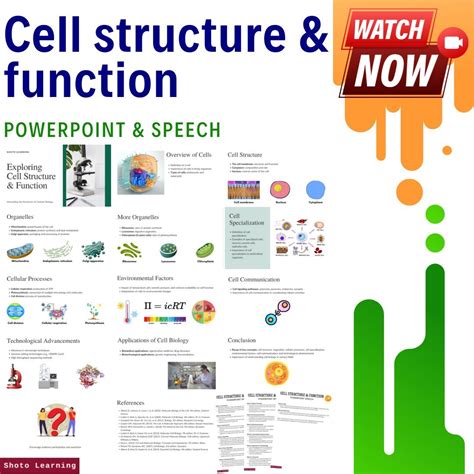 Cell Biology Flashcards Master Cell Structure And Functions