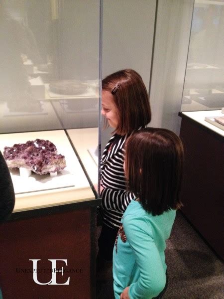 The Field Museum And Chicago Worlds Fair Exhibit
