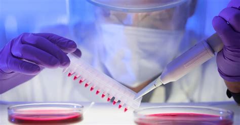 Un Fármaco Experimental Logró Una Remisión Completa Del Cáncer En 18 Pacientes Cómo Funciona