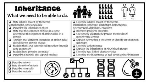 17 Inheritance Revision Notes Teaching Resources