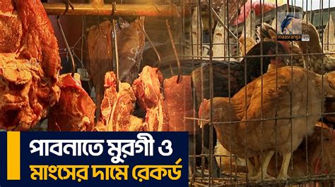পাবনায় মুরগি ও মাংসের দামে রেকর্ড। Maasranga News Youtube