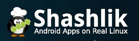 12 Best Android Emulators For Linux In 2023