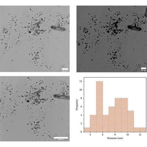 Tem Micrographs And Particle Size Distribution Histogram Of Zno Nps