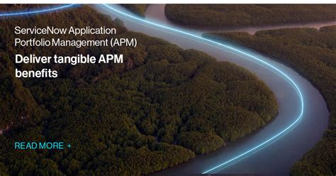 Application Portfolio Management Apm Softwareone