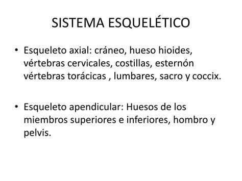 PPT Sistema esquelético PowerPoint Presentation free download ID