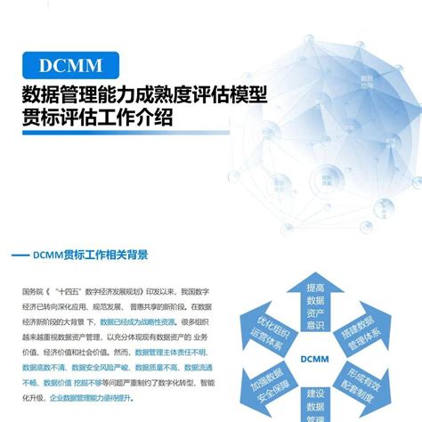 数据管理能力成熟度评估模型dcmm贯标评估工作介绍评估模型能力