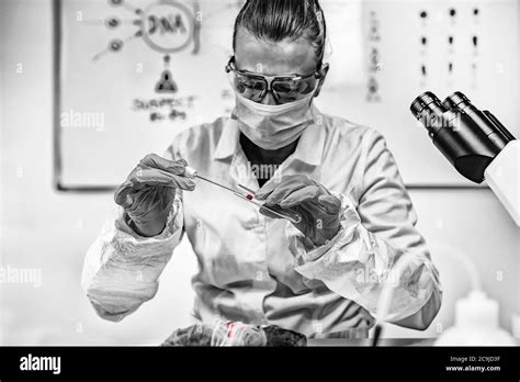 Forensic Science In Laboratory Forensic Analyst Examining Cloth With