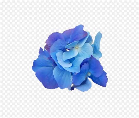 蓝色花卉png图片素材下载图片编号qlbgepvg 免抠素材网