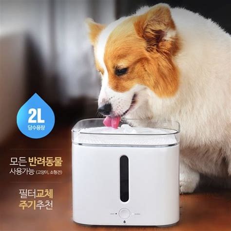 365일 신선한 물 채워주는 챠밍 스마트 정수기 강아지급수기 애견급수기 고양이급수기 애견정수기 고양이정수기 강아지