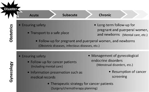 Disaster Cycle And The Responses Of The Obstetrics And Gynecology