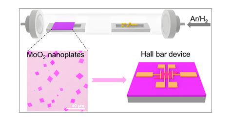 Synthesis Of Two Dimensional MoO2 Nanoplates With Large Linear Magnetoresistance And Nonlinear