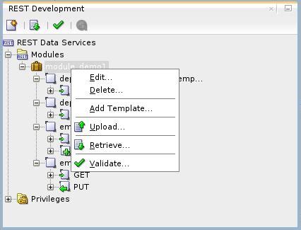 Oracle REST Data Services ORDS