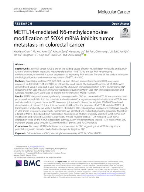pdf mettl14 mediated n6 methyladenosine modification of sox4 mrna