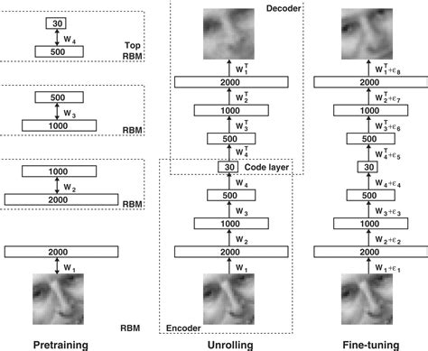 Reducing The Dimensionality Of Data With Neural Networks Science