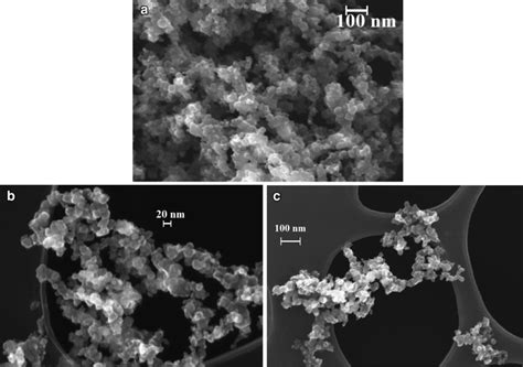 Fe Sem Micrographs In Secondary Electrons For Representative Samples C