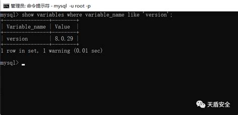等保 数据库测评之MySQL数据库测评下 墨天轮