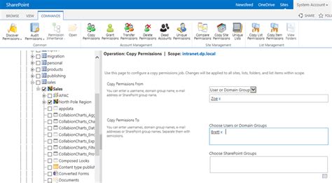 Managing Sharepoint Permissions In A Decentralized Environment