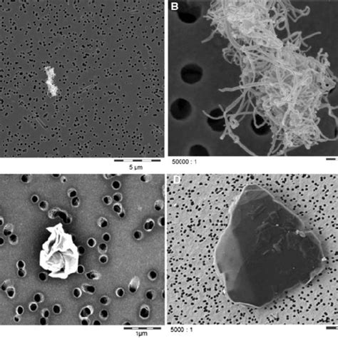 1 Examples For 0d 1d 2d And 3d Carbon Nanostructures Download