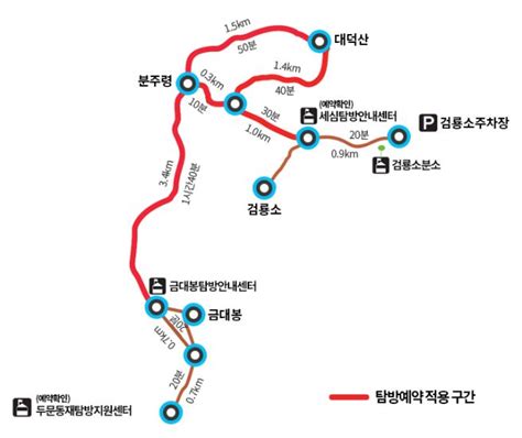 Daum 카페