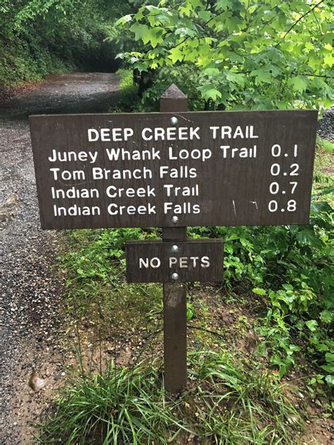 Pin By Sandy Pratt On Western North Carolina Outdoor Decor Indian