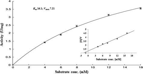 Hyperbolically Fit V Vs S Plot Reverse Kinetic Parameters Of Download High Resolution