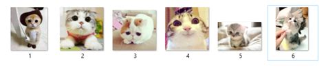 Wpf C Tutorial Make A Simple Image Gallery In Visual Studio Moo Ict Project Based Tutorials