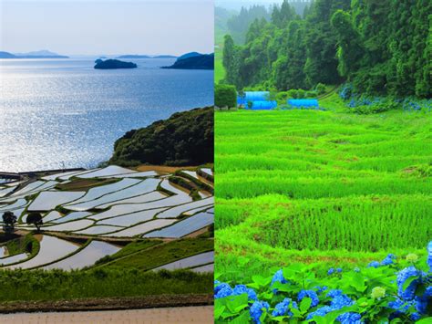 【全国】棚田の絶景厳選31選！ 親子で見たい日本の感動風景 ドライブにも！ いこーよニュース