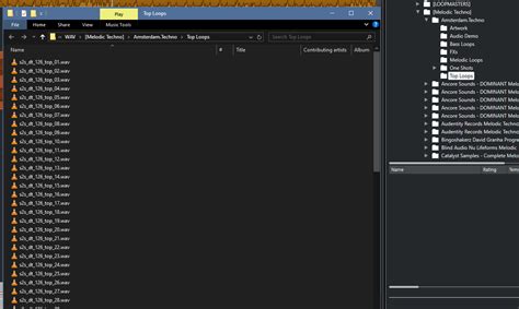 Cubase Doesn T Show Files In The File Browser Of The Right Panel Cubase Steinberg Forums