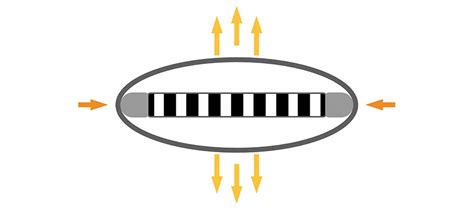 Flextensional Transducer • News From Neptune Sonar