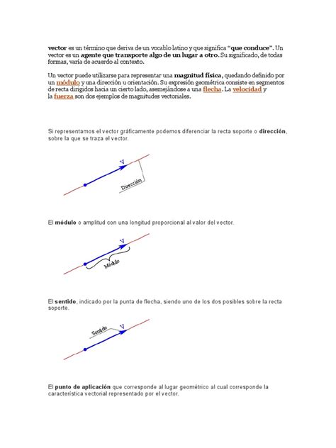 Vector Pdf Vector Euclidiano Enseñanza De Matemática