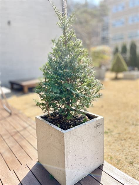 펜스블럭 콘크리트 대형 화분 런칭