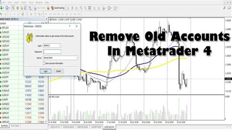 How To Delete Account In Mt Metatrader Forex Trading For Beginners YouTube