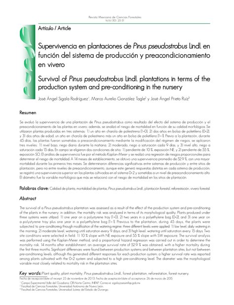 Pdf Supervivencia En Plantaciones De Pinus Pseudostrobus Lindl En Función Del Sistema De