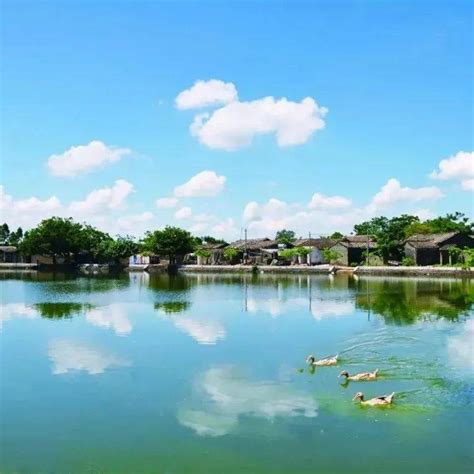 【乡村振兴】澄迈县罗驿村：旧貌展新颜 入村满目景厕所公厕环境