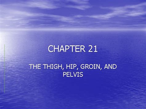 Chapter 21 The Thigh Hip Groin And Pelvis