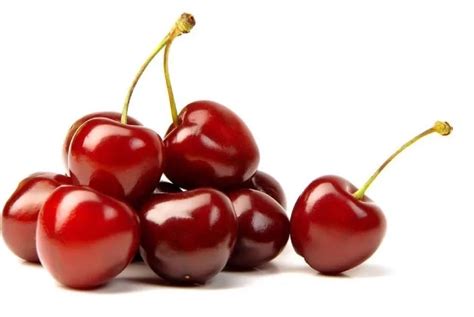 نگهداری گیلاس بعد از فصل تابستان نحوه نگهداری گیلاس