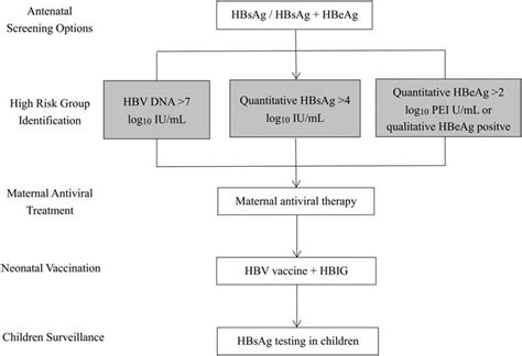 Proposed Protocol For The Management Of Pregnant Women Chronically Download Scientific Diagram