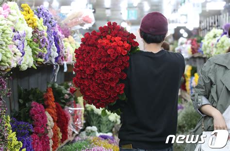 사랑을 고백하세요 뉴스1