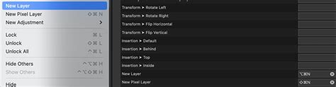 Affinity Designer 203 Macos New Layer Shortcut Issue Desktop
