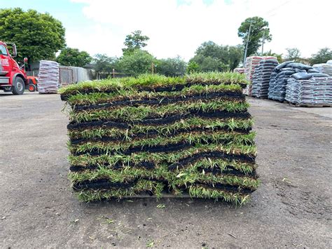 Sod Growers Outlet Of Lake Worth