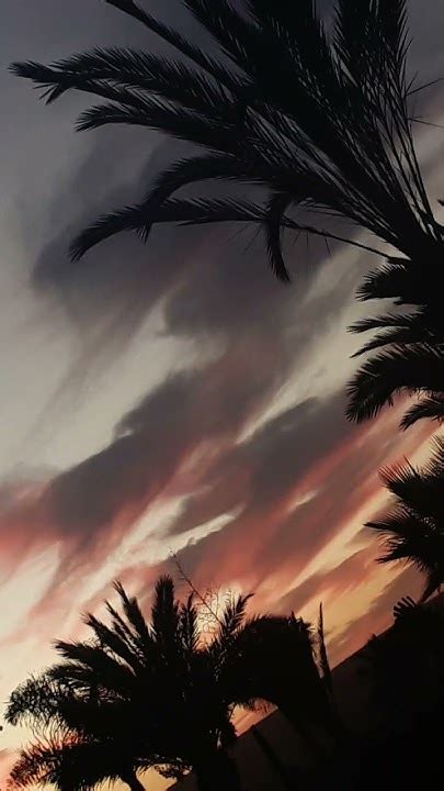 فيون جيولا 🎀💗 Youtube