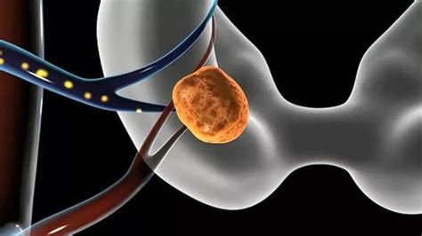 متى تظهر أول أعراض الحمل المبكرة وكيف تشعر الحامل بها؟ مجلة سيدتي