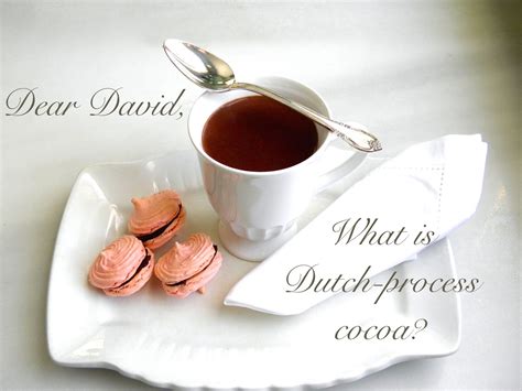 What Is Dutch Process Cocoa Powder