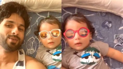 Go Home Everyone Shahid Kapoor And His Son Zain Won The Internet